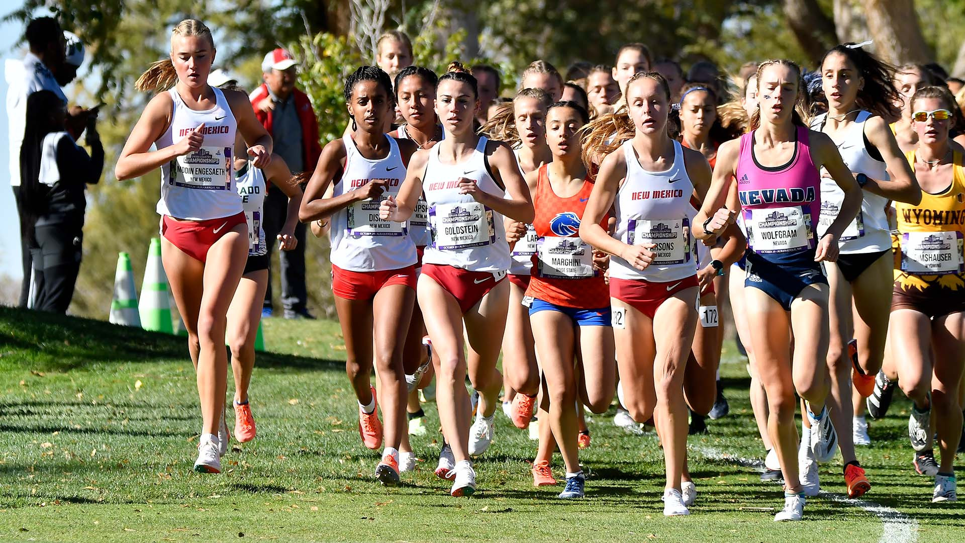 Lobo Women’s Cross Country, Ibrahim Prepared for NCAA Championships ...