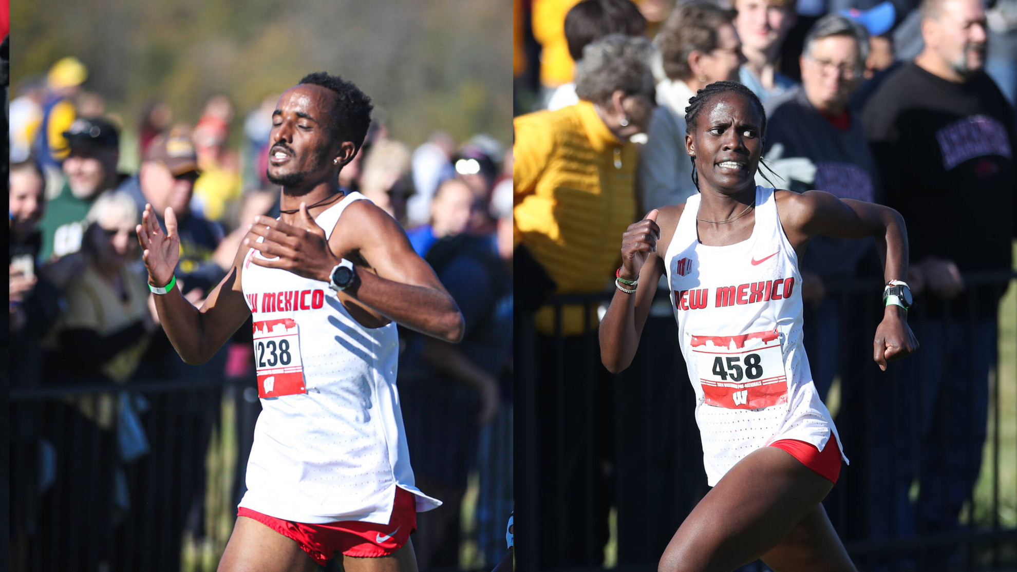 Lobo Men’s XC Climbs to No. 6 in National Polls; Women Rise 9 Spots to ...