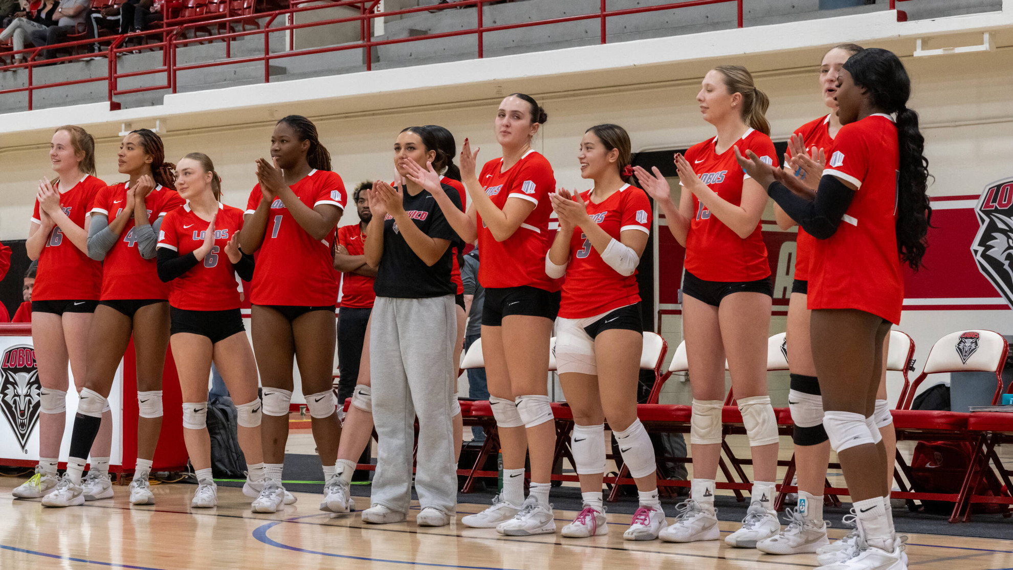 Lobo VB Unveils Complete 2025 Schedule - New Mexico Lobos - Official ...