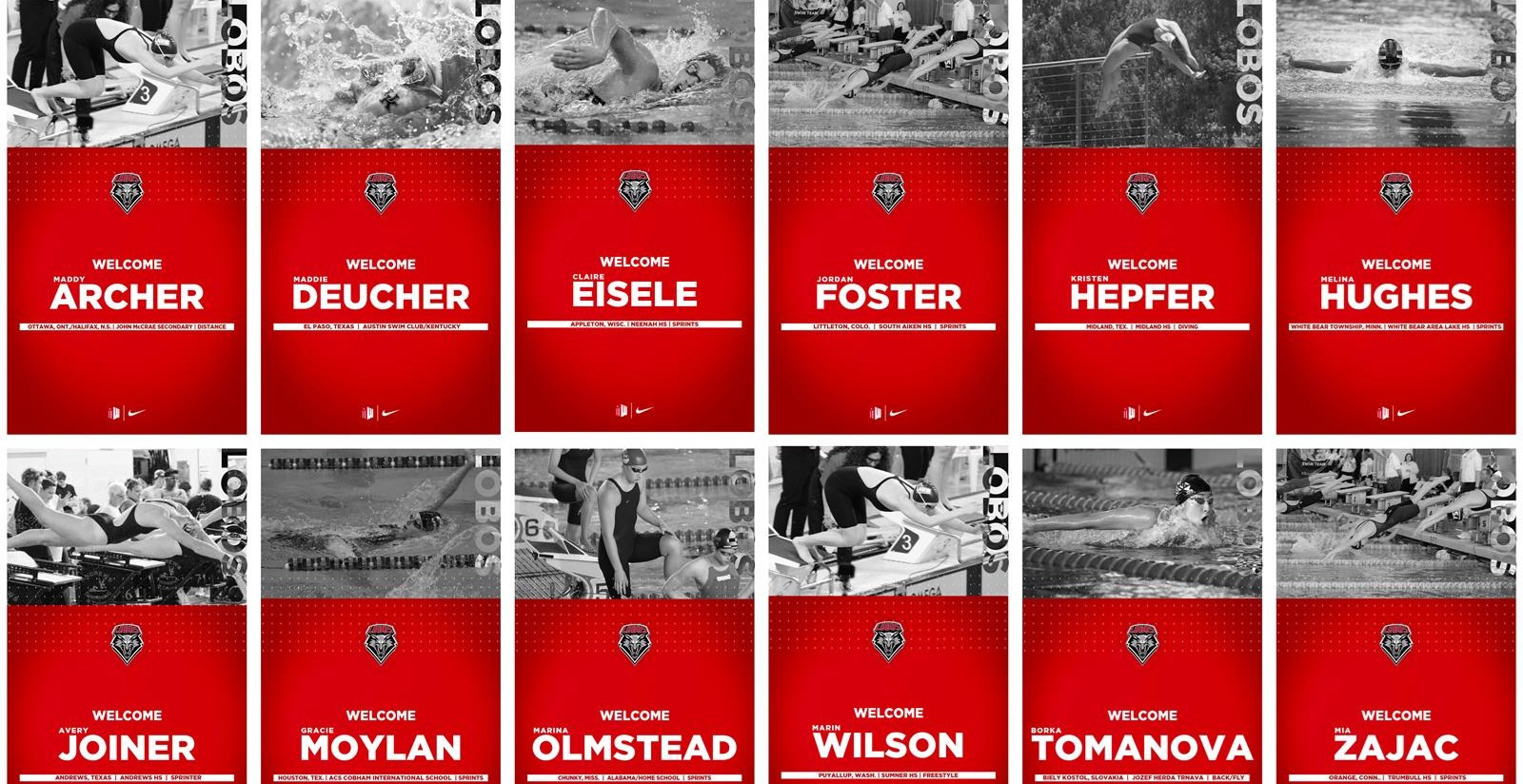 Swimming & Diving Class is Deep - New Mexico Lobos - Official Athletics ...