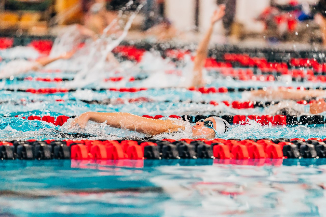Lobos to Return to the Pool in Nevada - New Mexico Lobos - Official ...