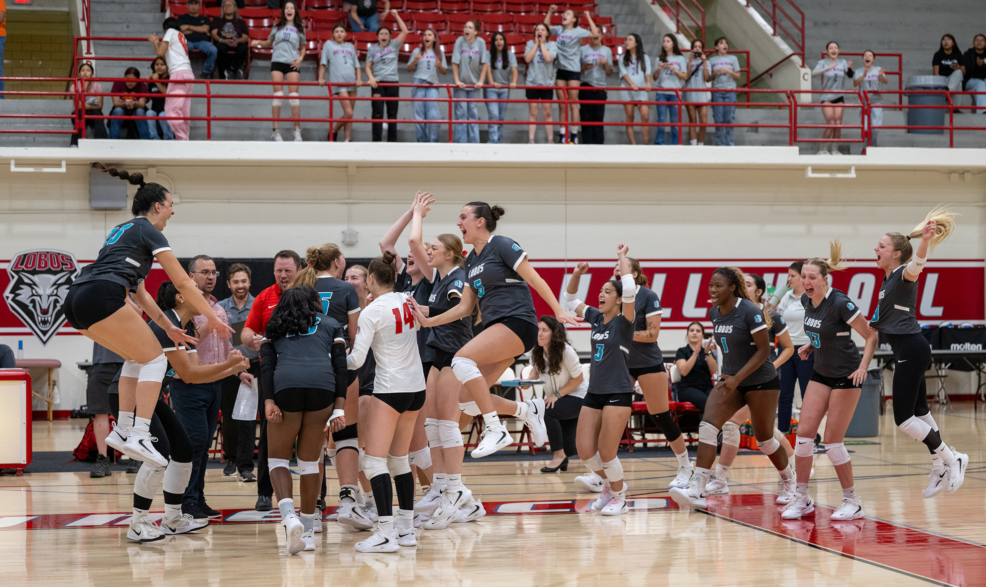 Lobos Host NMSU Tuesday to Kick Off Rivalry Week - New Mexico Lobos ...