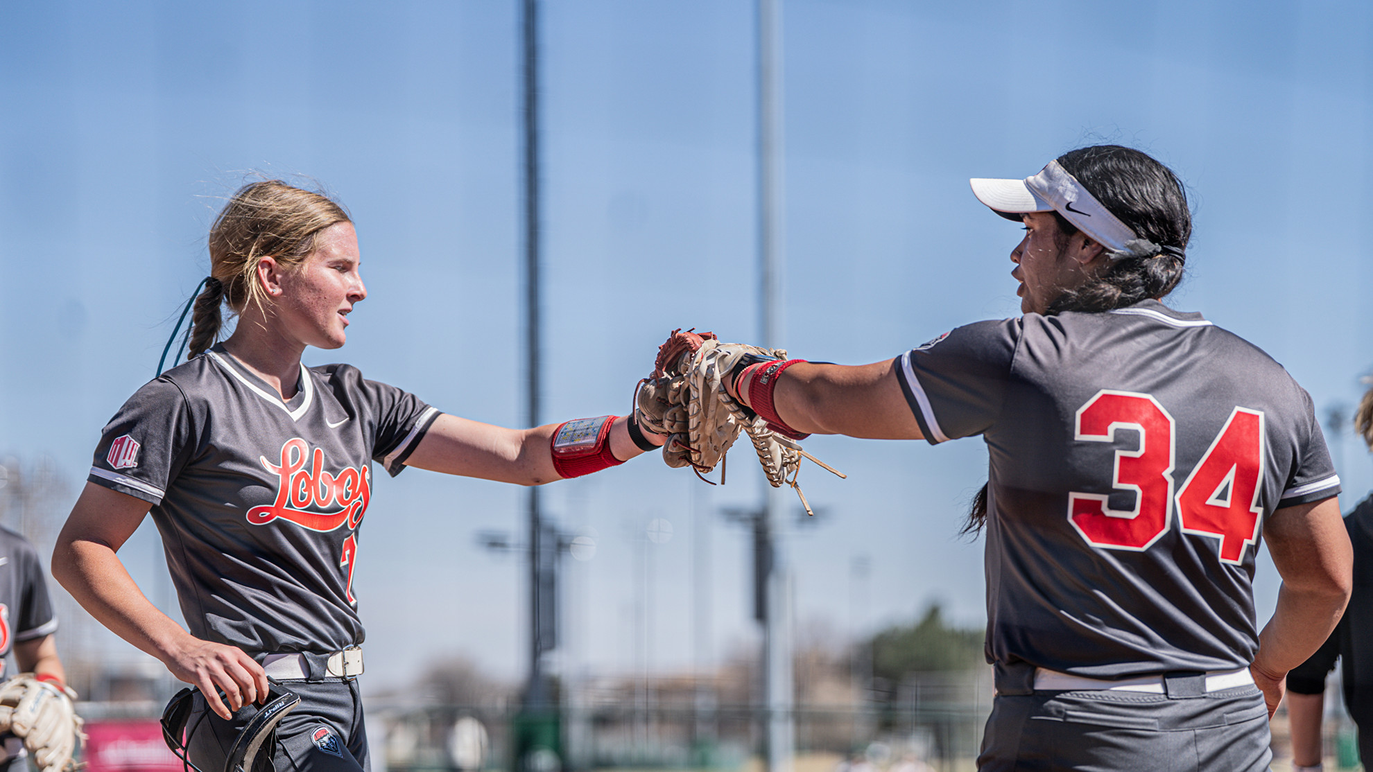 Lobos Lose Late to Rams in Game 1 - New Mexico Lobos - Official ...