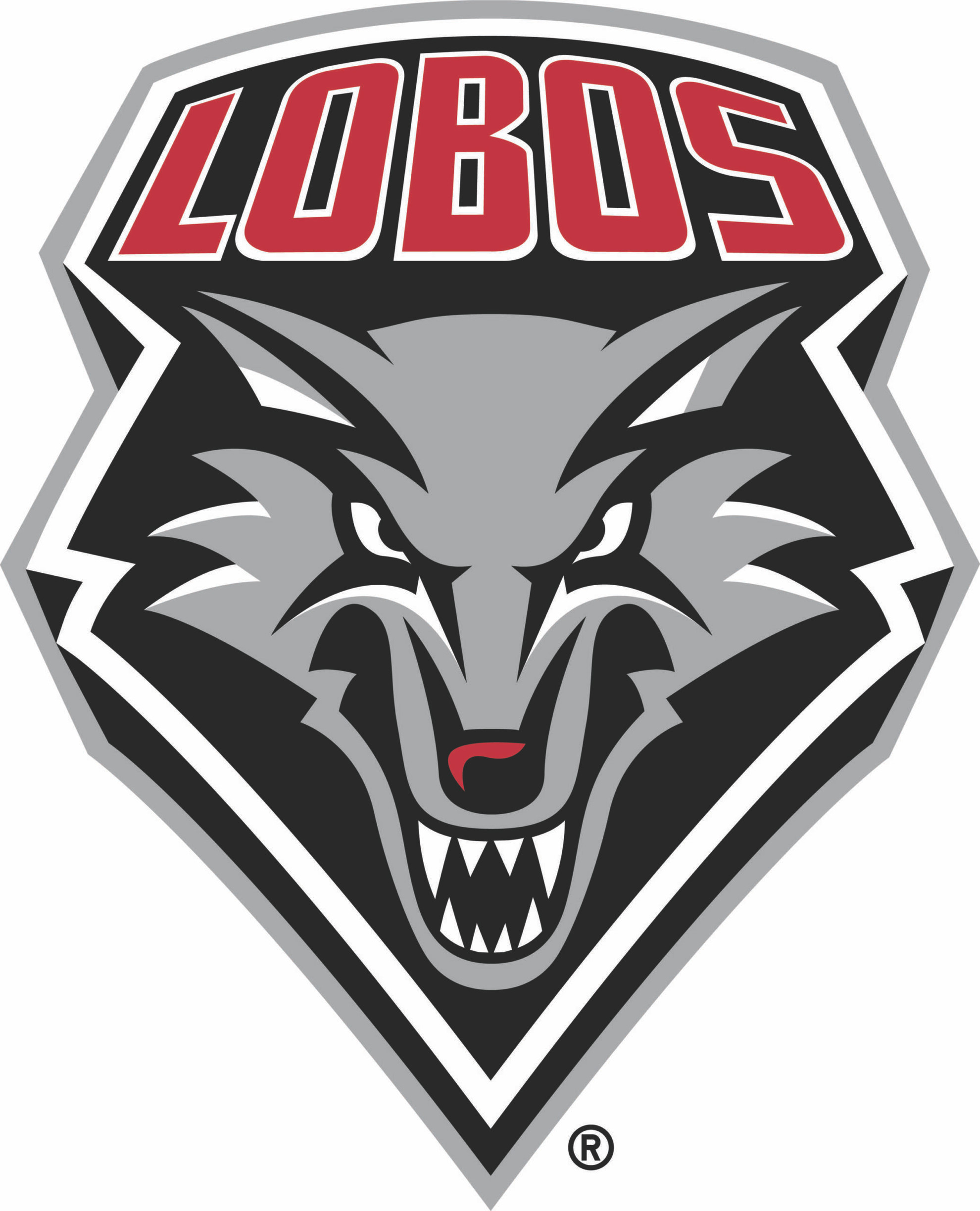 Stephen Chavez - New Mexico Lobos - Official Athletics Website