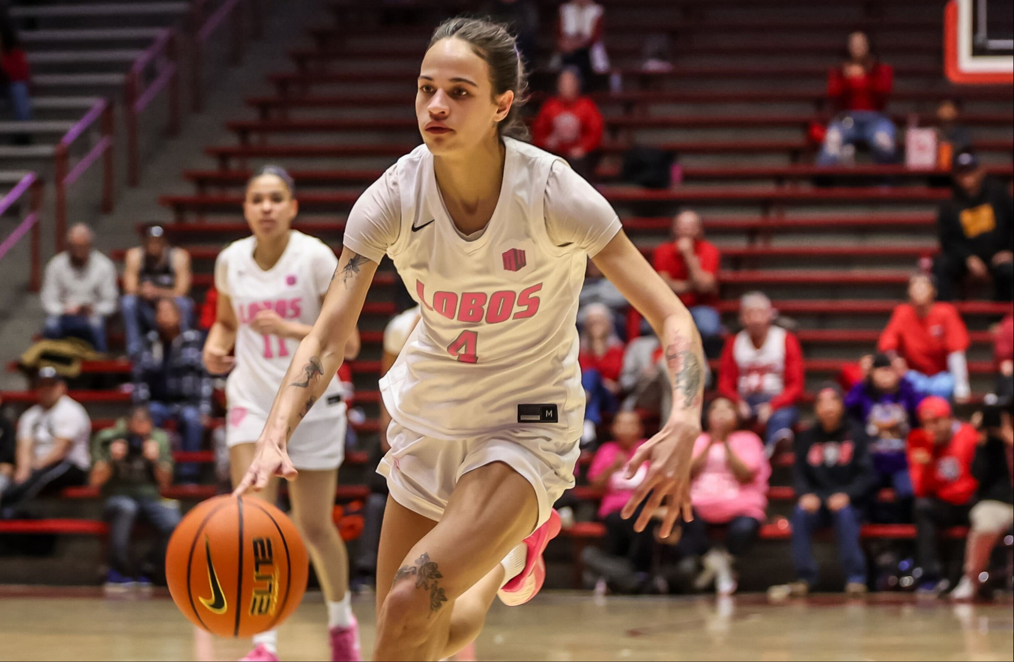 Three Lobos Reach Double Figures in Loss to Rams - New Mexico Lobos ...