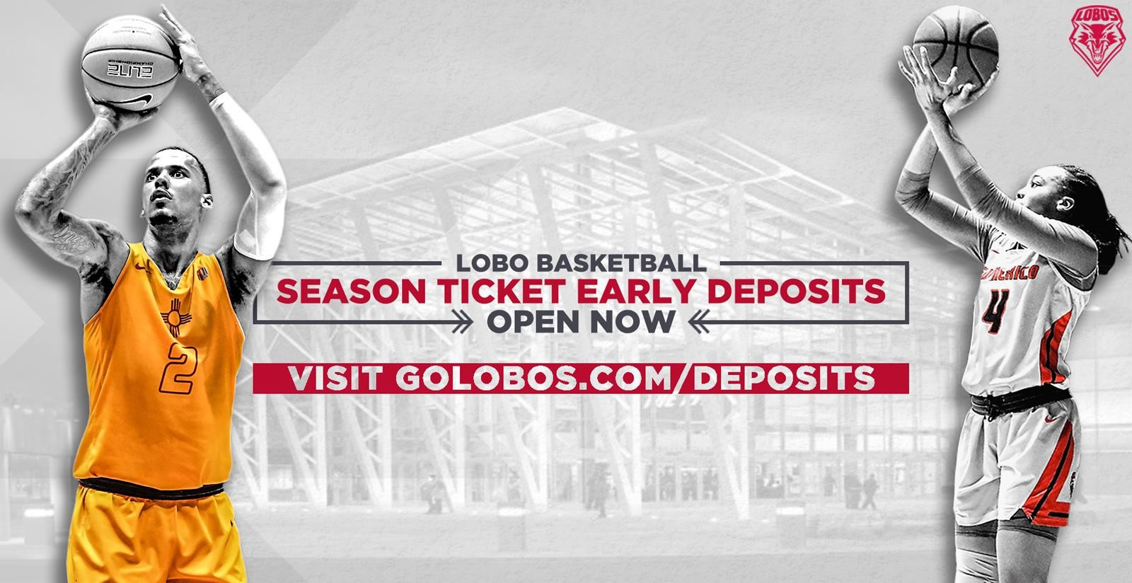Basketball Season Ticket Early Deposits Now Open - New Mexico Lobos ...
