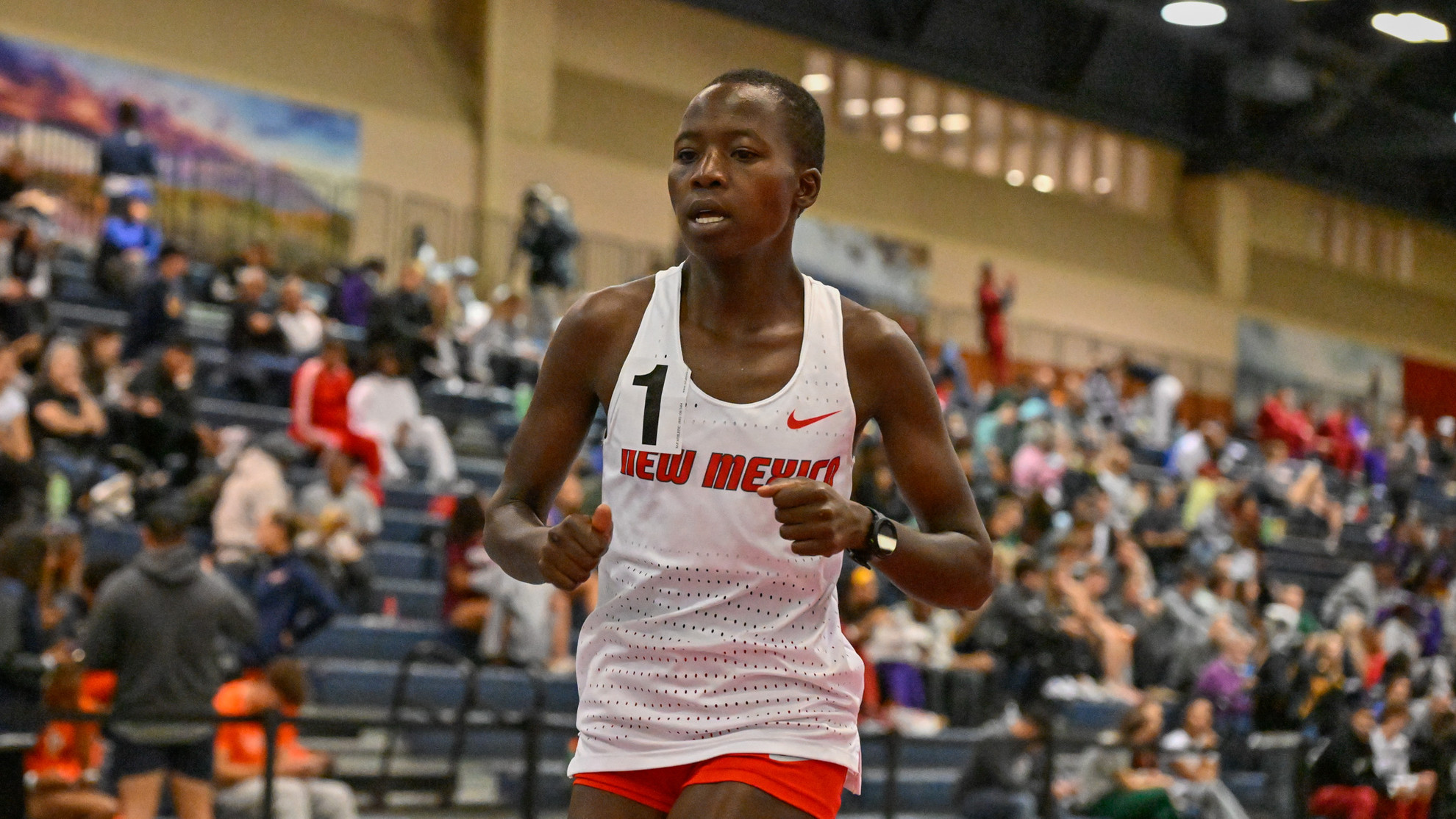 Lobos Open Indoor Track Season in Boston Saturday - New Mexico Lobos ...