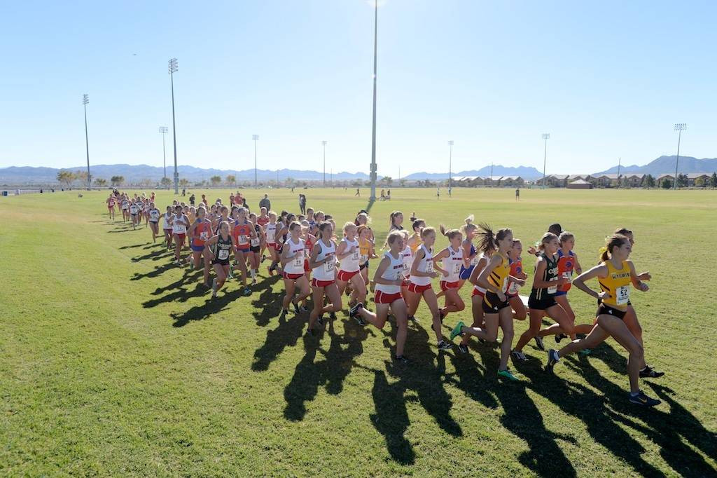 Cross Country Facing Strong Test at Conference Meet - New Mexico Lobos ...