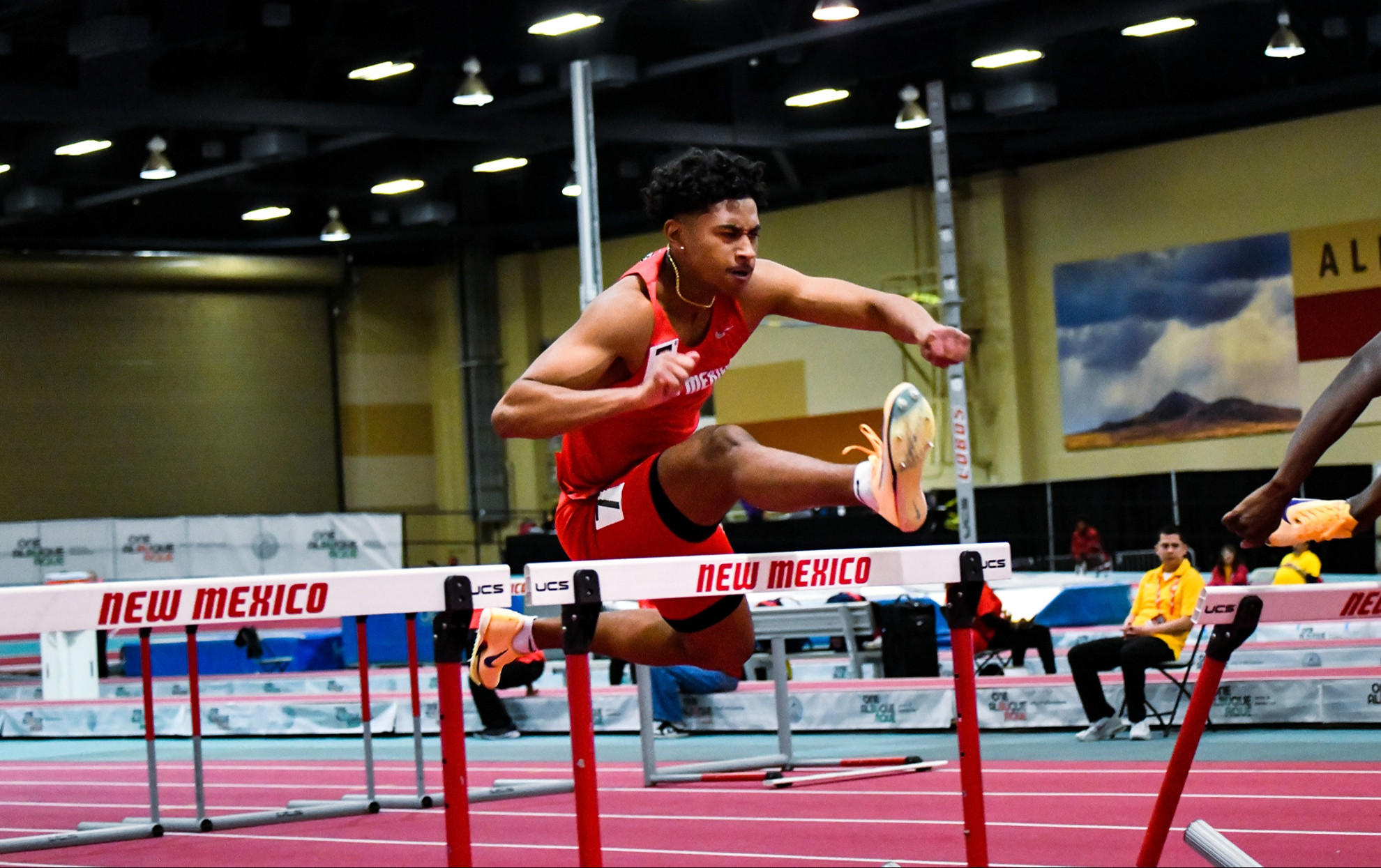 Lobos Compete in ABQ, Seattle this Weekend - New Mexico Lobos ...