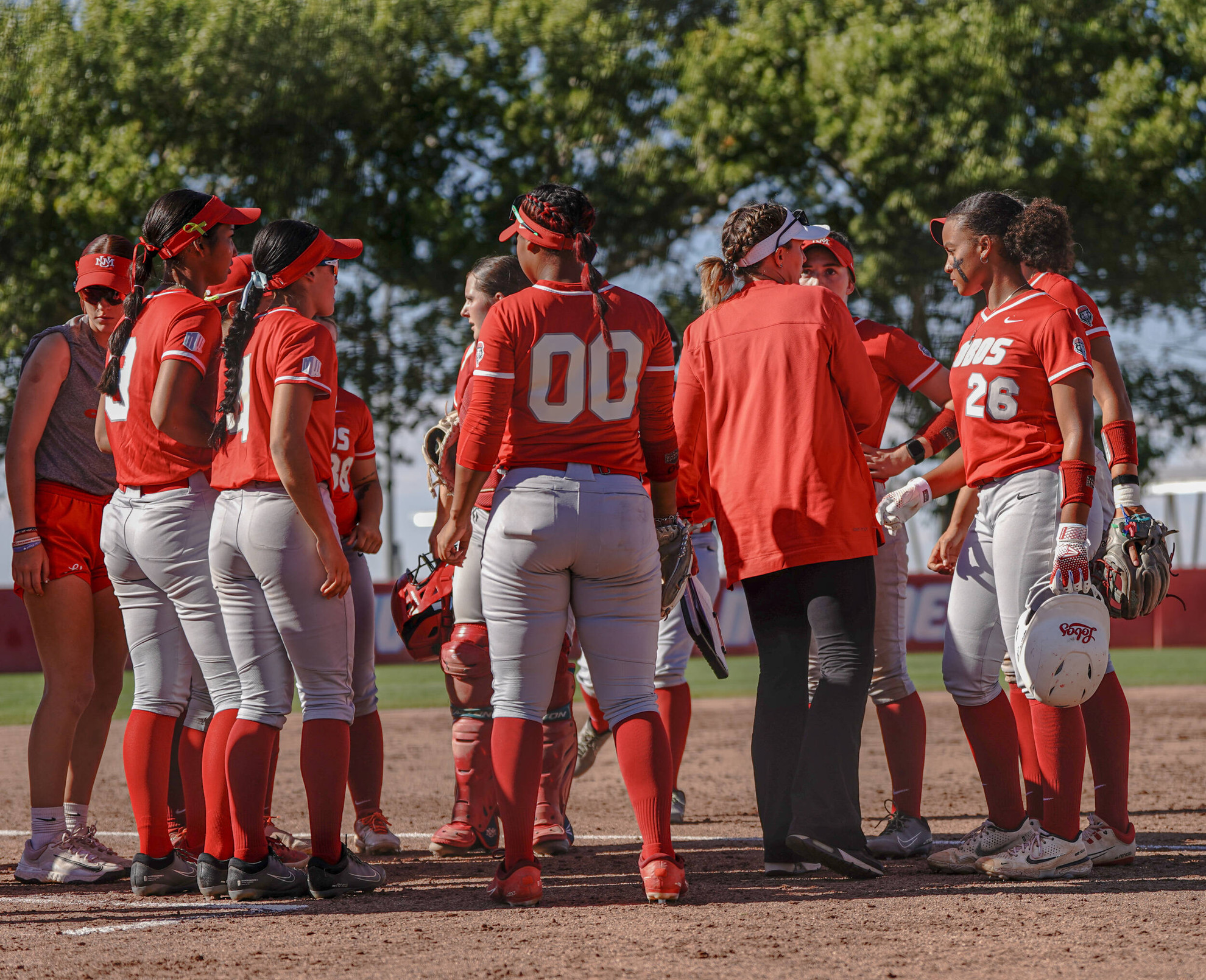 Lobo Softball Announces 2025 Schedule - New Mexico Lobos - Official ...
