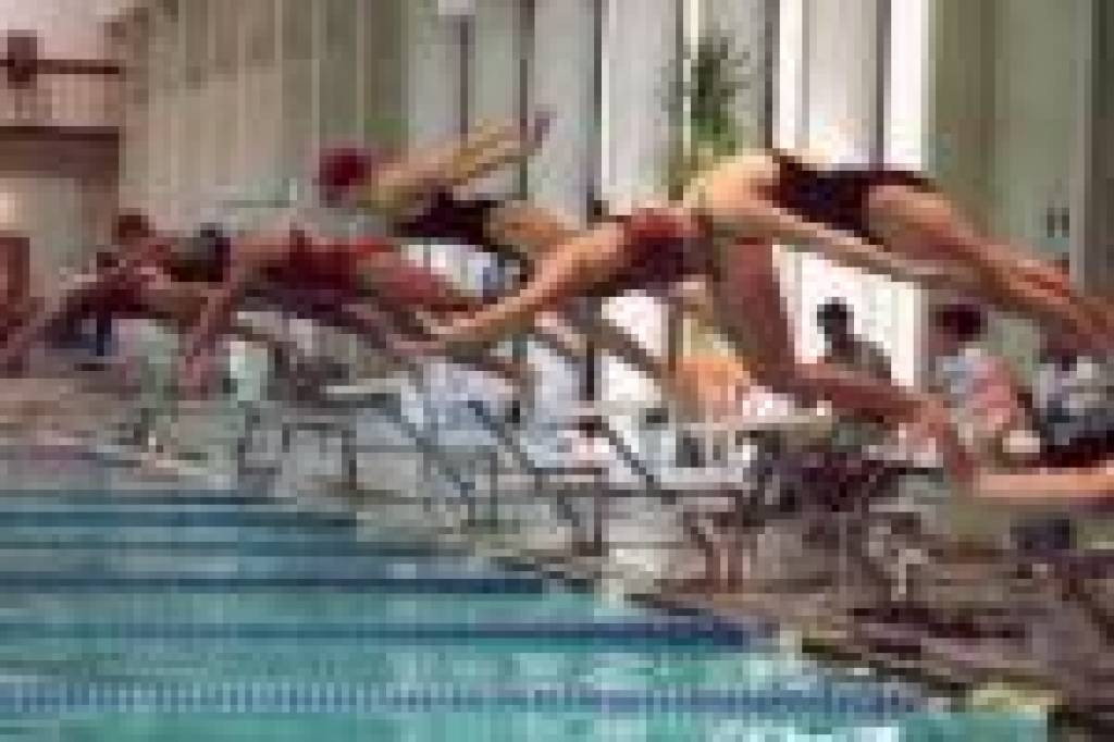 Lobo Swimmers Head To Las Cruces, N.M., Divers Head To Colorado Springs ...