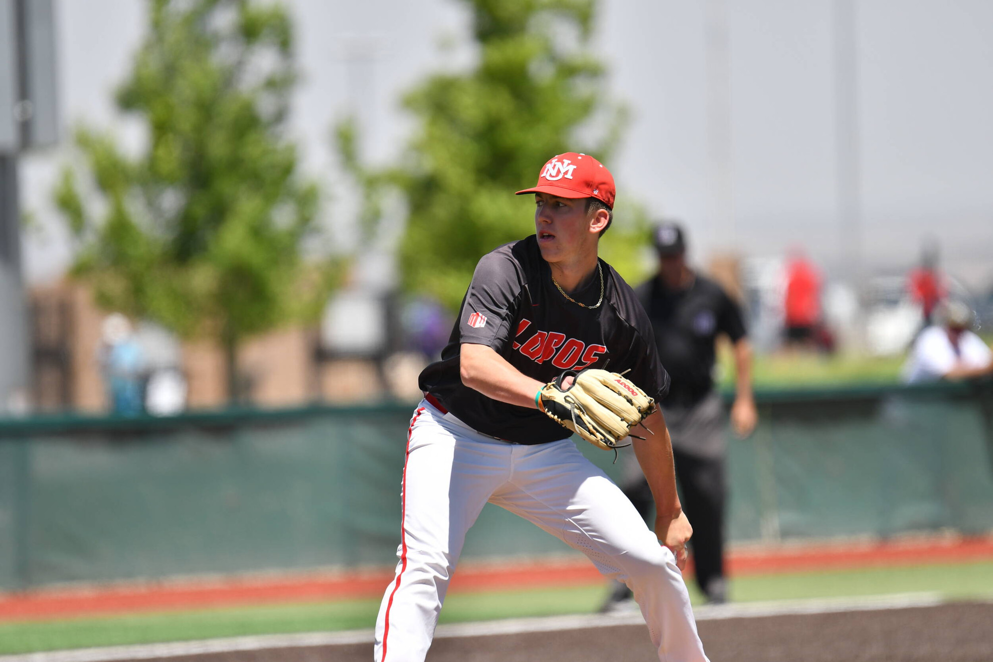 Preview: Lobo baseball makes 2023 home debut this weekend - New Mexico ...